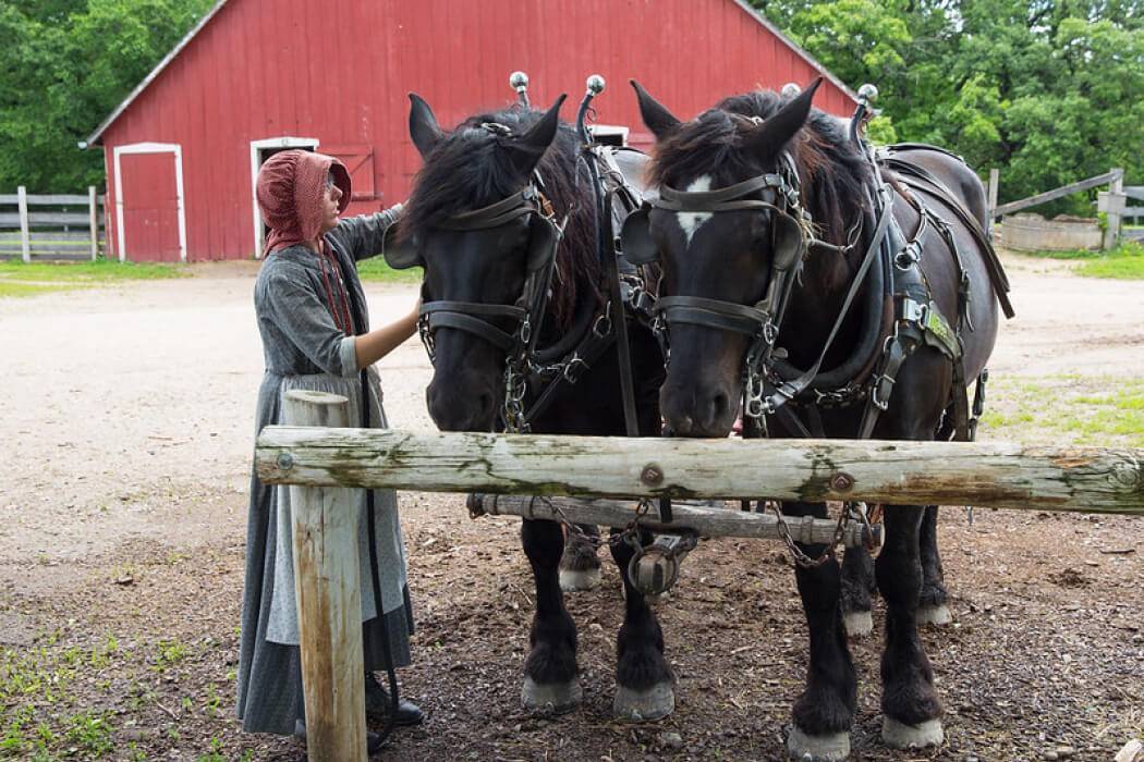 Social Studies Standards - Living History Farms, Iowa